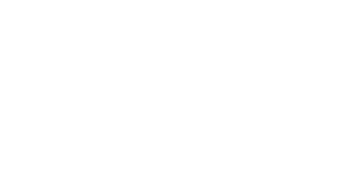 V-Twin - Bitubo USA